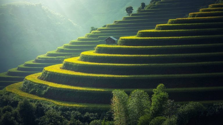 Stars | Wallpaper 4k