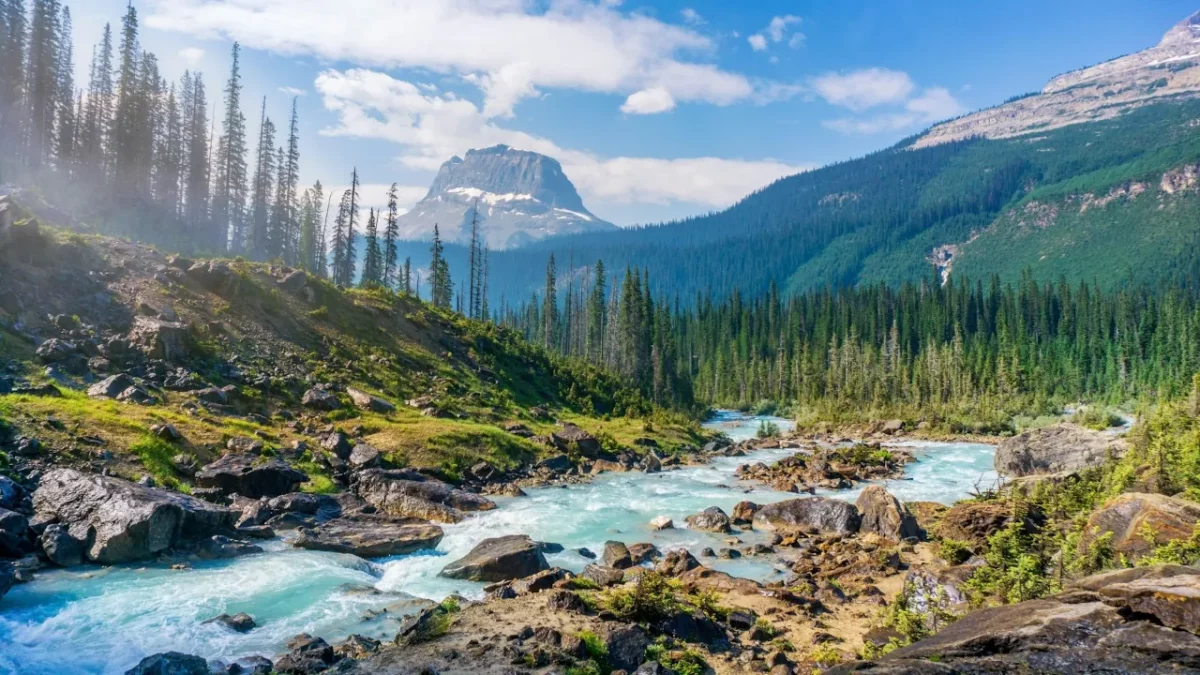 River Wallpaper HD & 4K – Calm and Scenic Desktop Backgrounds