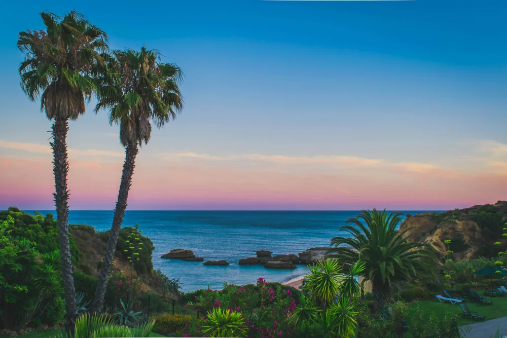 Tropical landscape at sunset | Wallpaper 4k